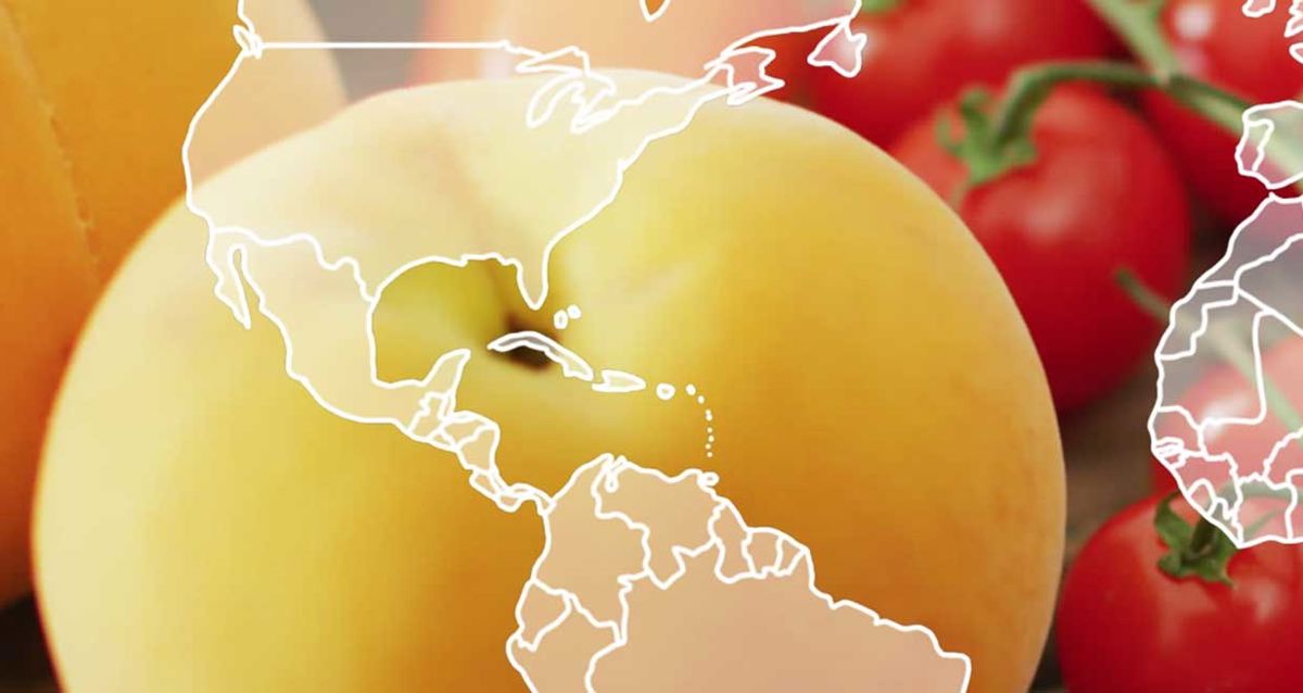 US Consumer Trends 2025 & Global Produce Opportunities | Webinar Replay