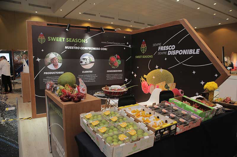 The Mexico Conference