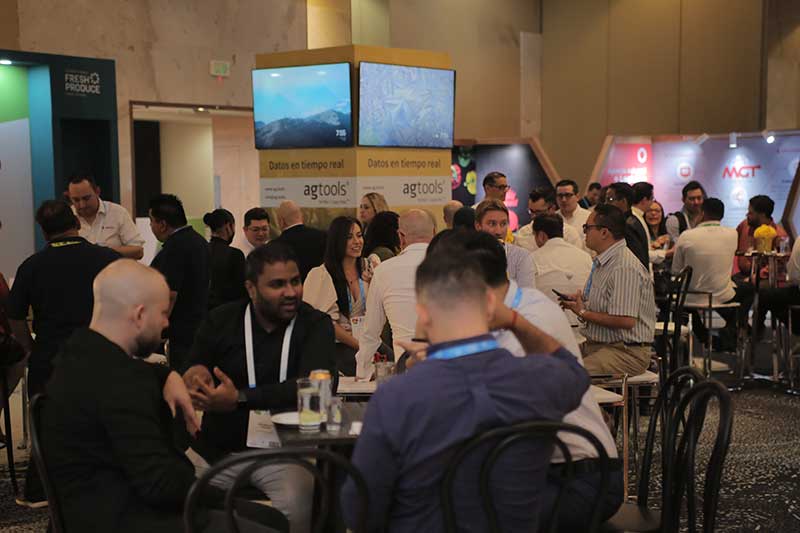 The Mexico Conference