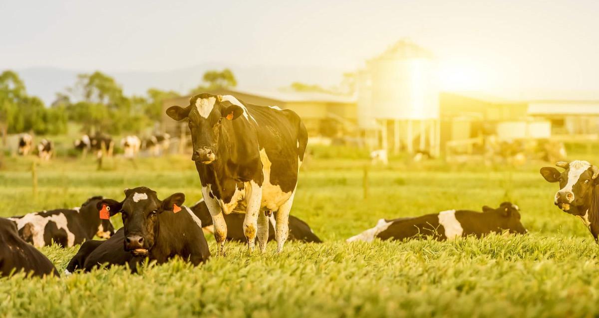 "Reasonably Foreseeable Hazard" the Escalation of Urgency