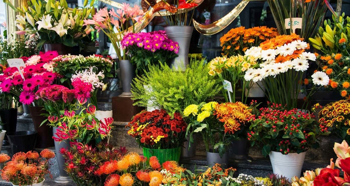Use It or Lose It: Floral Color Trends at Retail Webinar