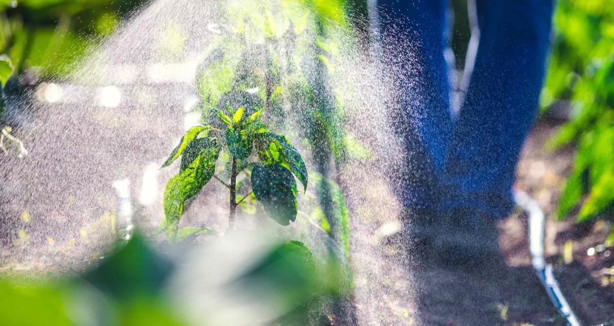 Understanding the Global Pesticide MRL Landscape and Its Impact on ...
