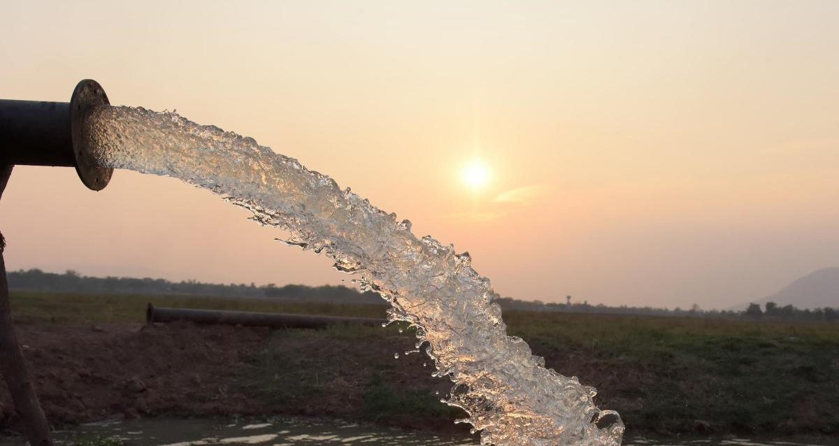 Good Farms Sustainability Case Study