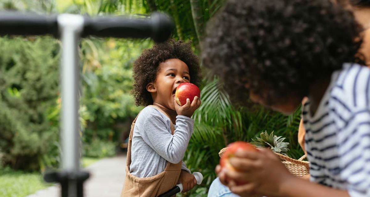 New Dietary Guidelines for Americans Reinforce the Essential Role of ...