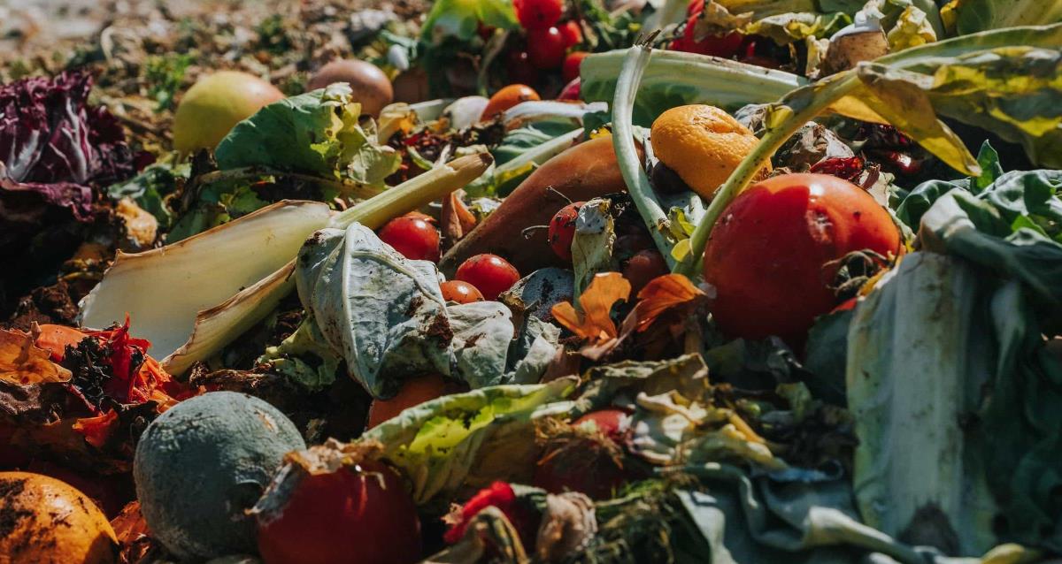 Food Waste Challenges throughout the Supply Chain