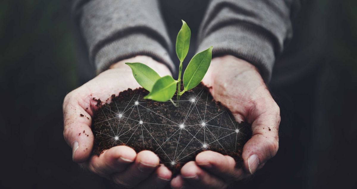 USDA Climate Smart Program: Opportunities for Growers to Get Involved