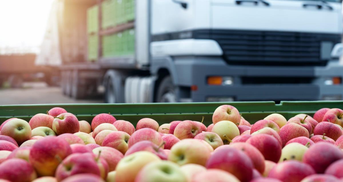 Supply Chain Management