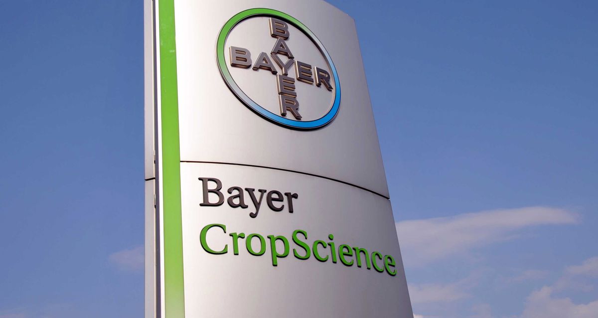 Bayer's Commitment to Regenerative Agriculture & Climate-Smart Solutions