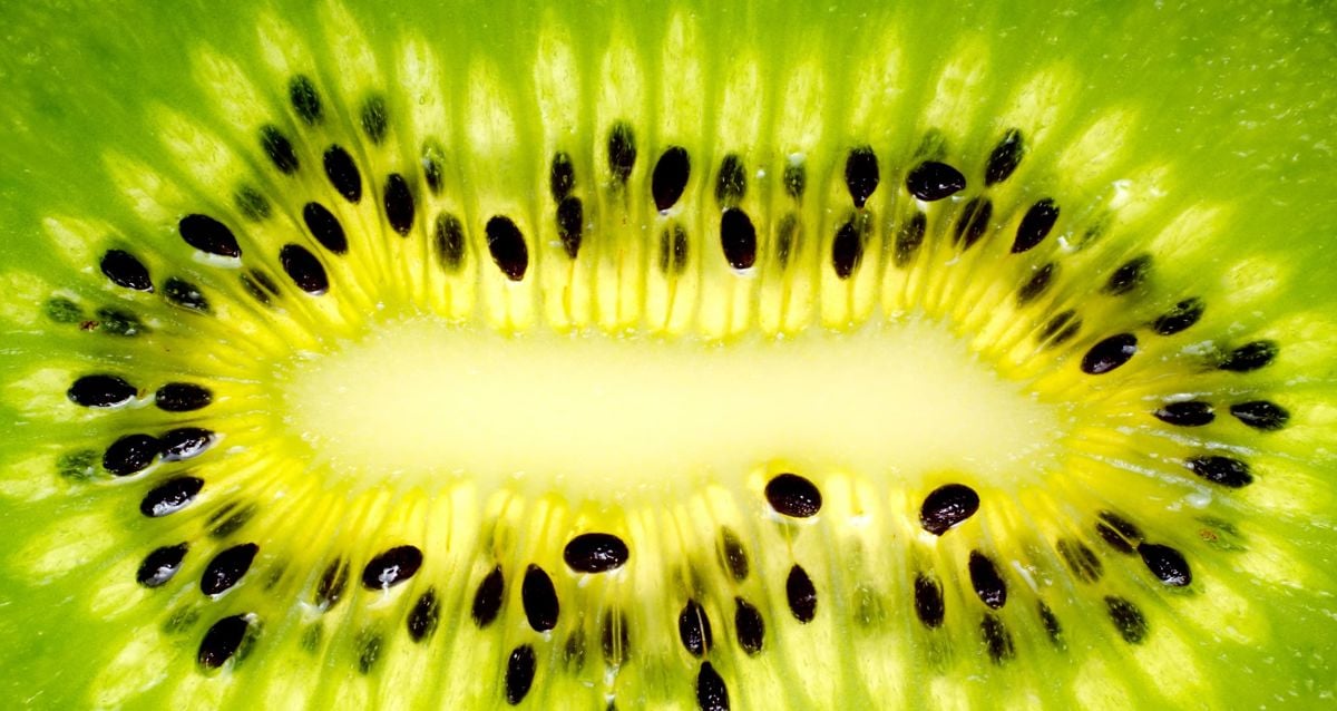 Volume of Produce by Commodity in US Foodservice